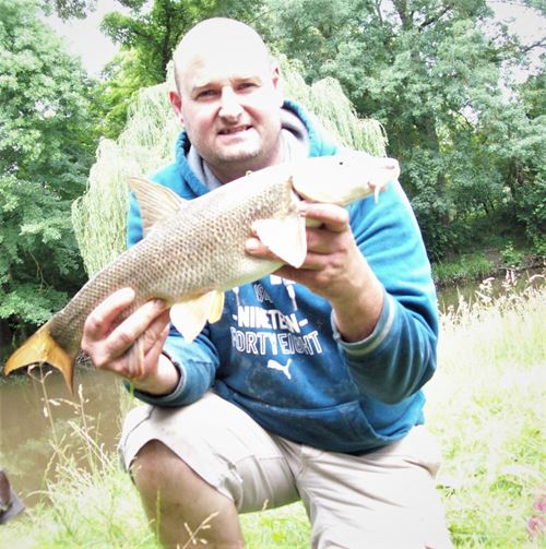 Peche du barbeaux au feeder et au méthod